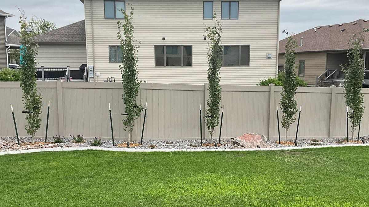 Blueprints for Urban Bliss: Landscape Design Techniques for City Living ...